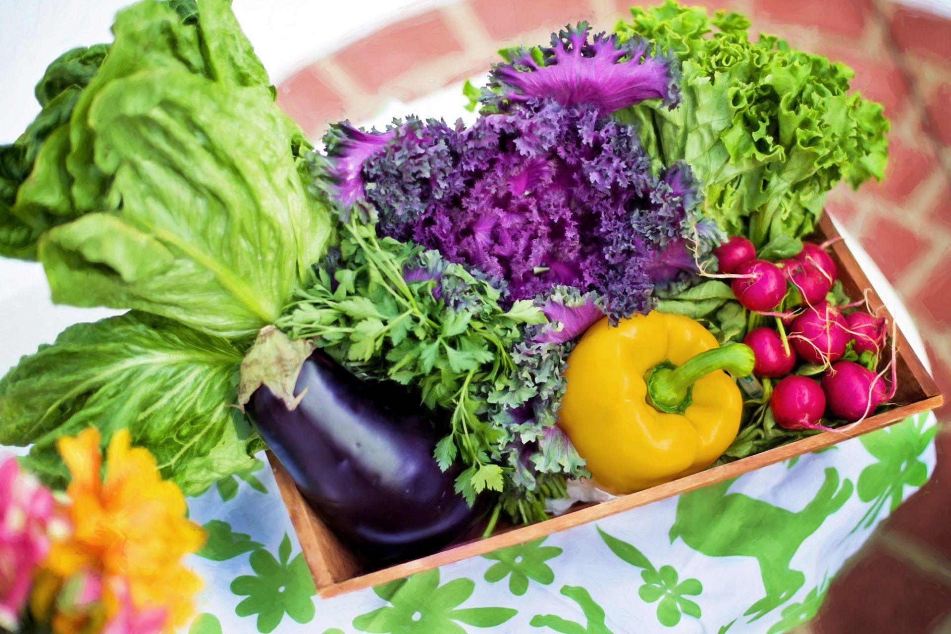 What to Know About Organically Grown Food - View the VIBE Toronto