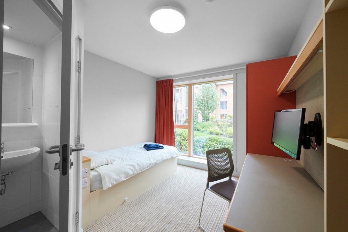 Your Guide to Different Student Housing Options - View the VIBE Toronto