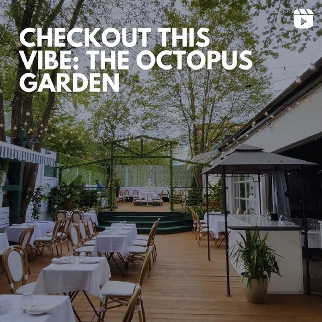 VIDEO: Check out the VIBE Inside The Octopus Garden - View the VIBE Toronto