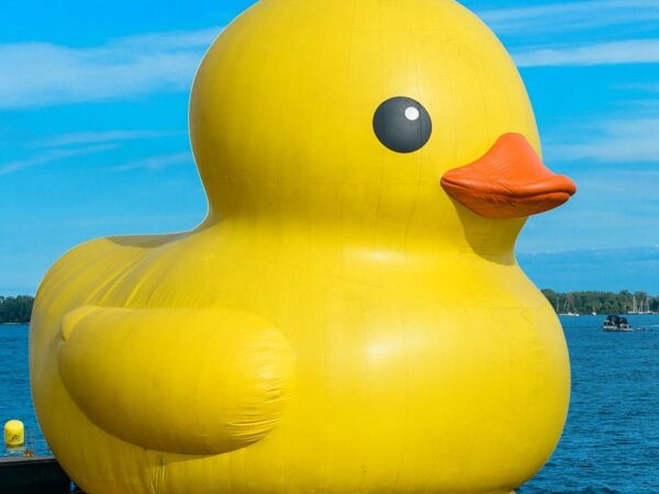 Lobos 1707 has partnered with DAYLIGHT to host a rooftop party + you ...