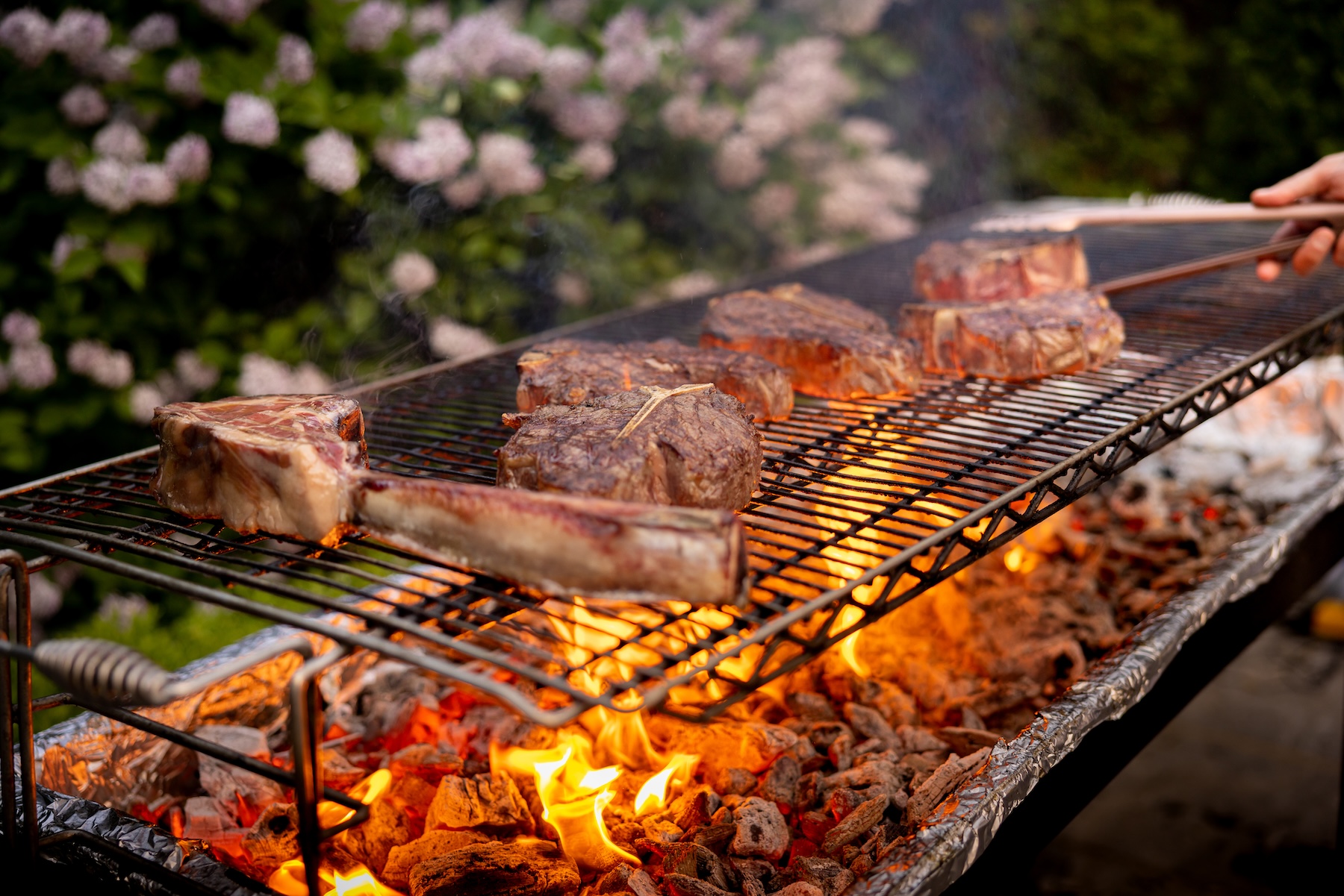 Chef Ariel Marciano: From awards to A-listers, he's getting noticed