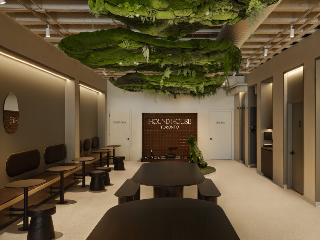 5 Killer Toronto Design Firms - View the VIBE Toronto